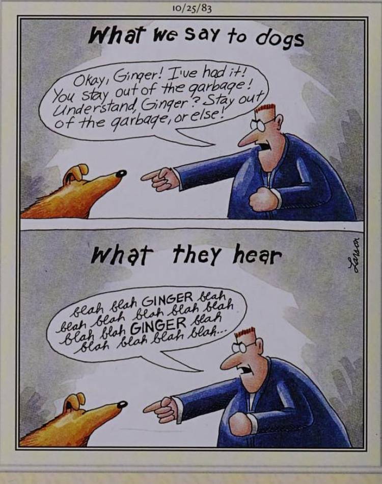 Far Side Devil Cartoon Dog You Have Offended Millions": 1
