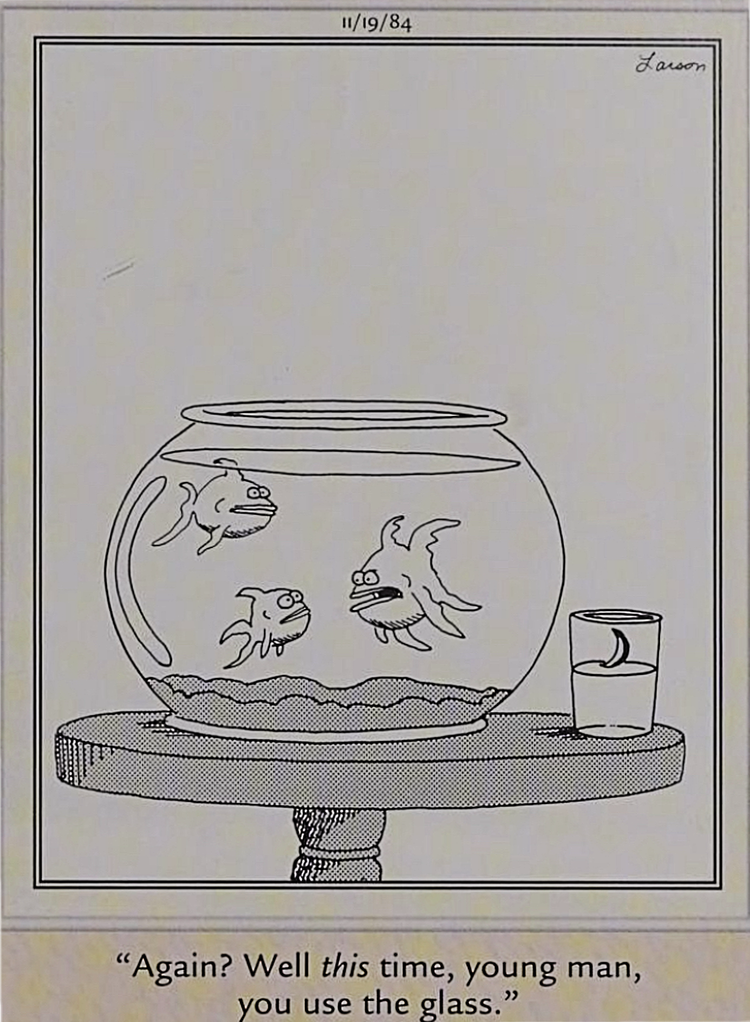 15 Funniest Far Side Comics About Goldfish