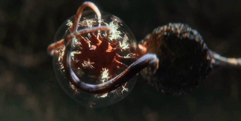 The Flood's History In Halo Explained & What They Mean For Season 3