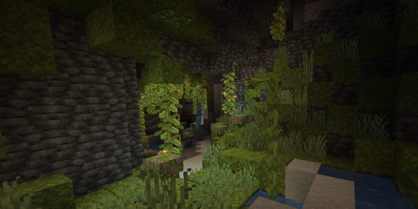 10 Best Minecraft Seeds For Mangrove Swamps