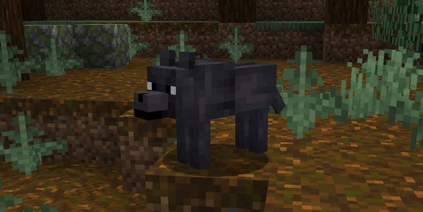 Minecraft: All Wolf Variants From Java & Bedrock Editions