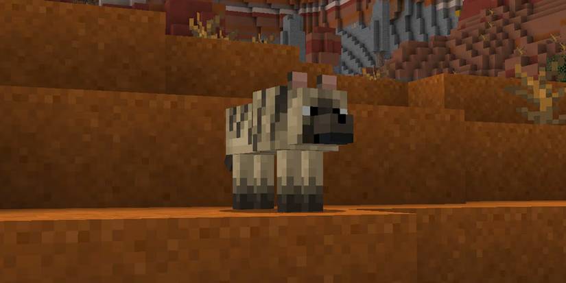 Minecraft: All Wolf Variants From Java & Bedrock Editions