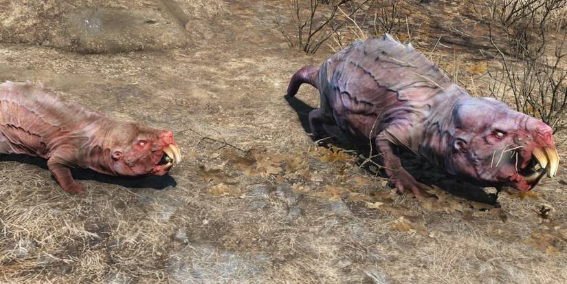 6 Fallout Monsters We Can't Wait To See In Live Action