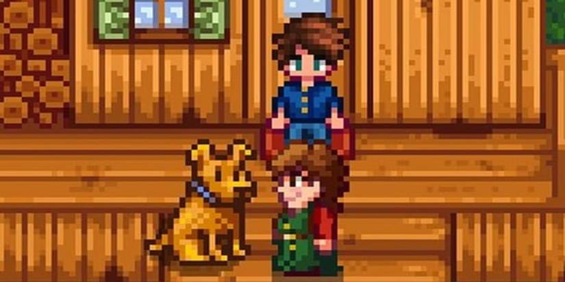 There's One Stardew Valley 1.6 Pet Type You're Going To Want To Save ...