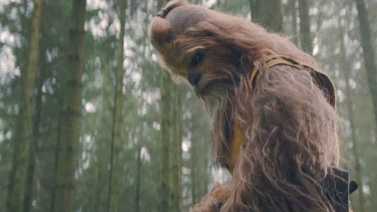 Star Wars' New Wookiee Jedi Is "A Dream Come True"
