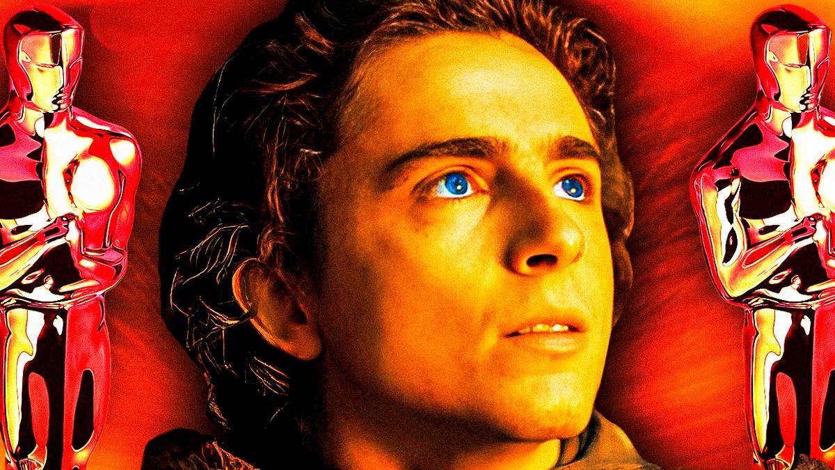 Timothée Chalamet Has A Great Chance Of Winning An Oscar Next Year (But ...