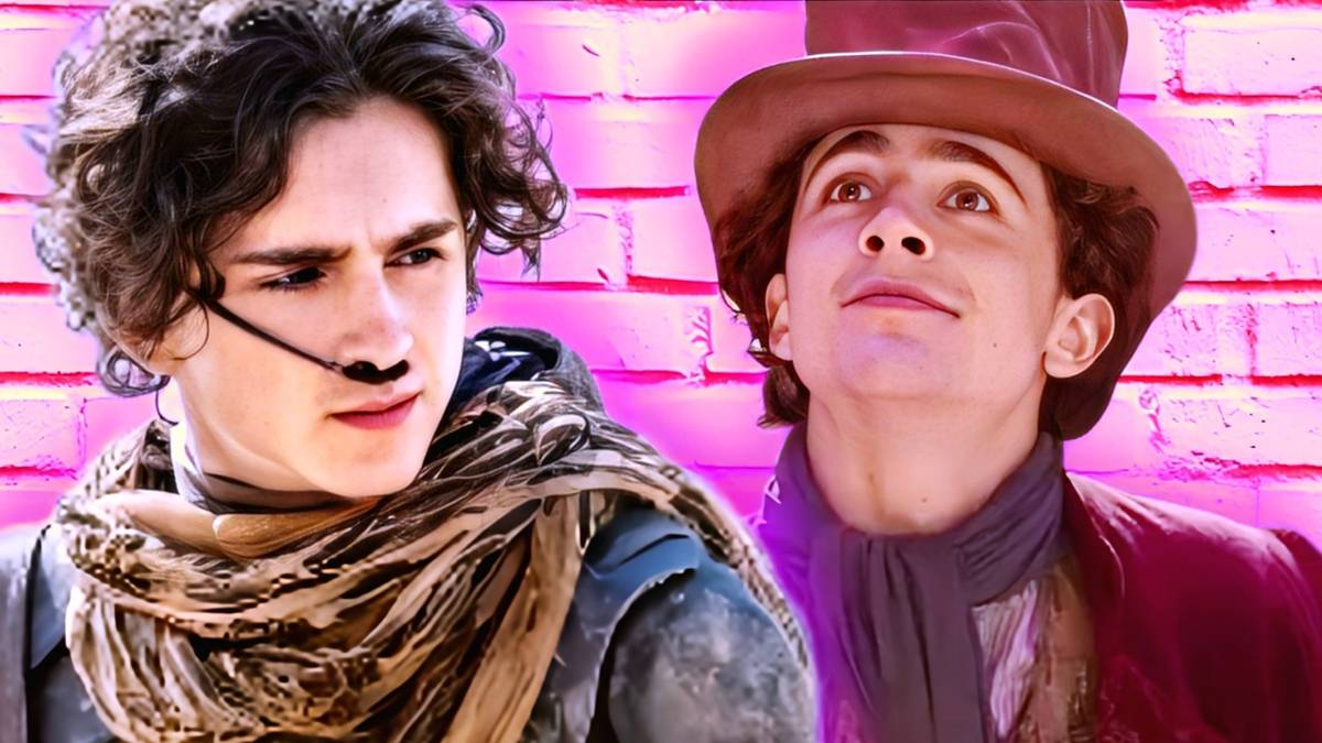 Timothée Chalamet's New Career Move Sets Up A Brilliant Collaboration 4 ...