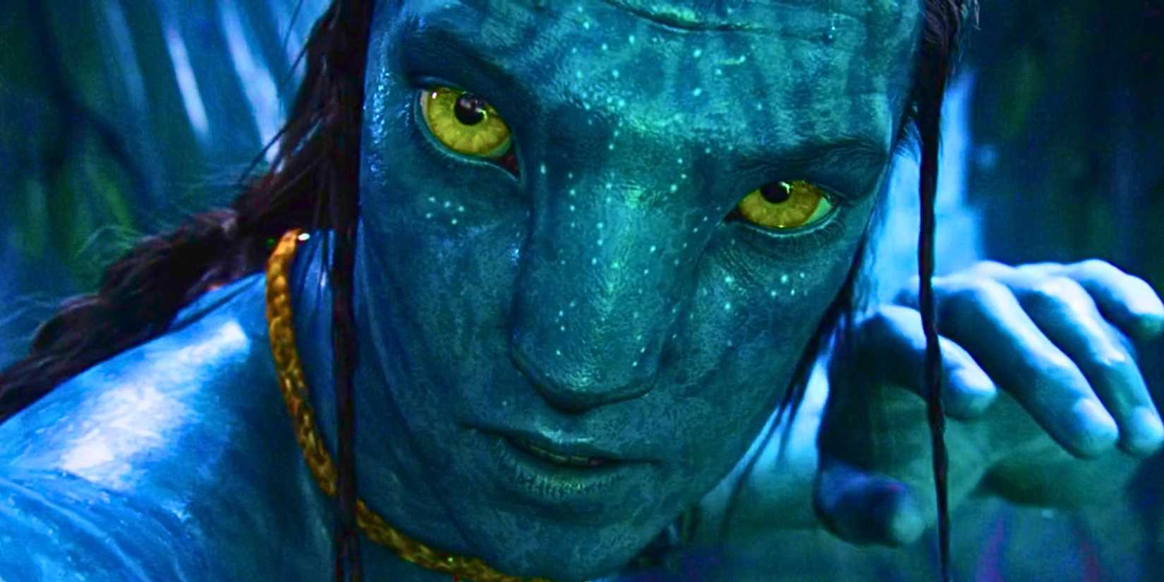 James Cameron's Avatar Closely Copied 2 Other Movies Released 8 Years Apart