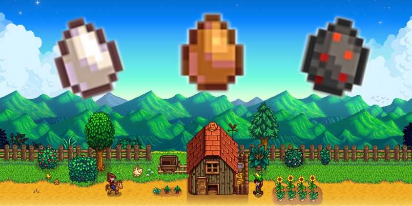 How To Get Every Type Of Chicken In Stardew Valley