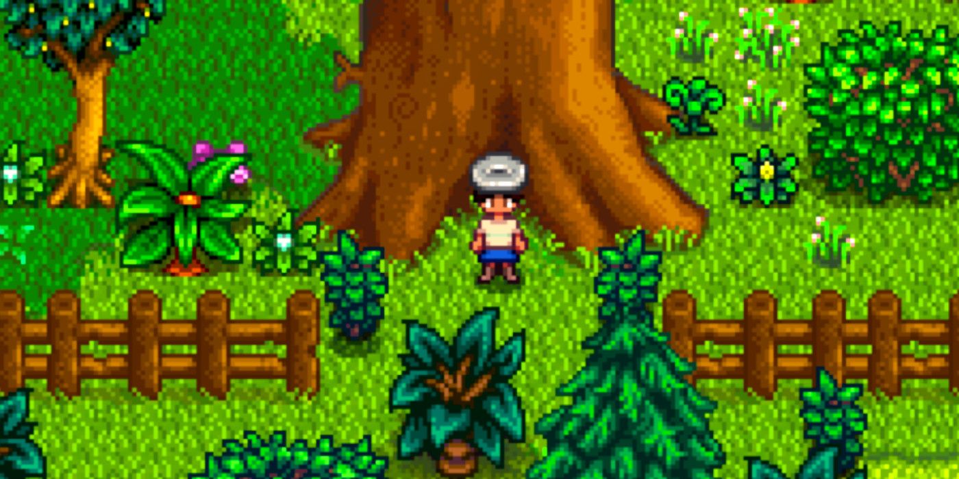 Where To Catch The Goby Fish In Stardew Valley