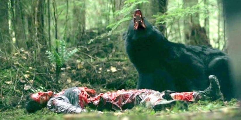 Backcountry Movie True Story Explained: Did The Bear Attack Really Happen?