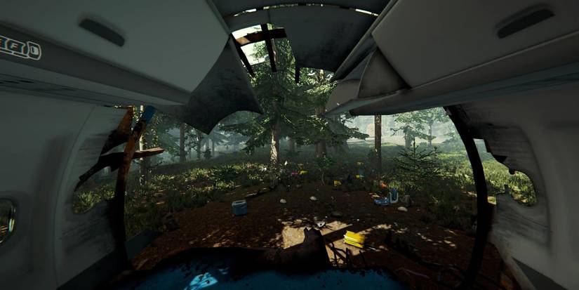 The Forest: The First Places You Need To Go (New Player Guide)