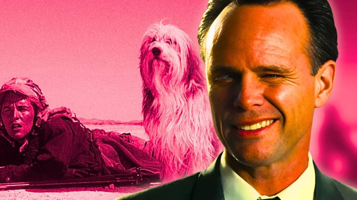 1 Brilliant Fallout Easter Egg References The Franchise's Sci-Fi ...