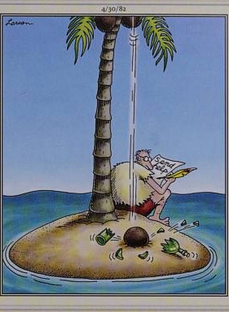 20 Funniest Far Side Comics Set on A Desert Island