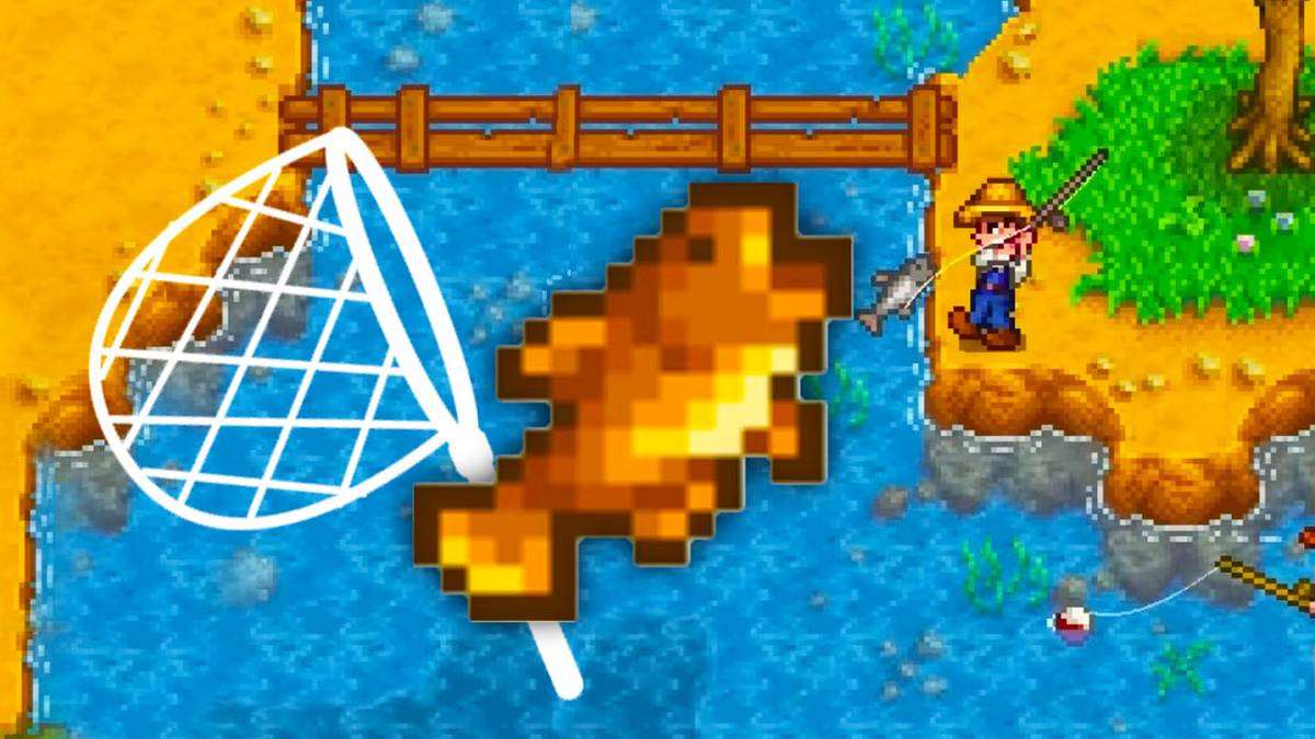 Where To Catch The Goby Fish In Stardew Valley