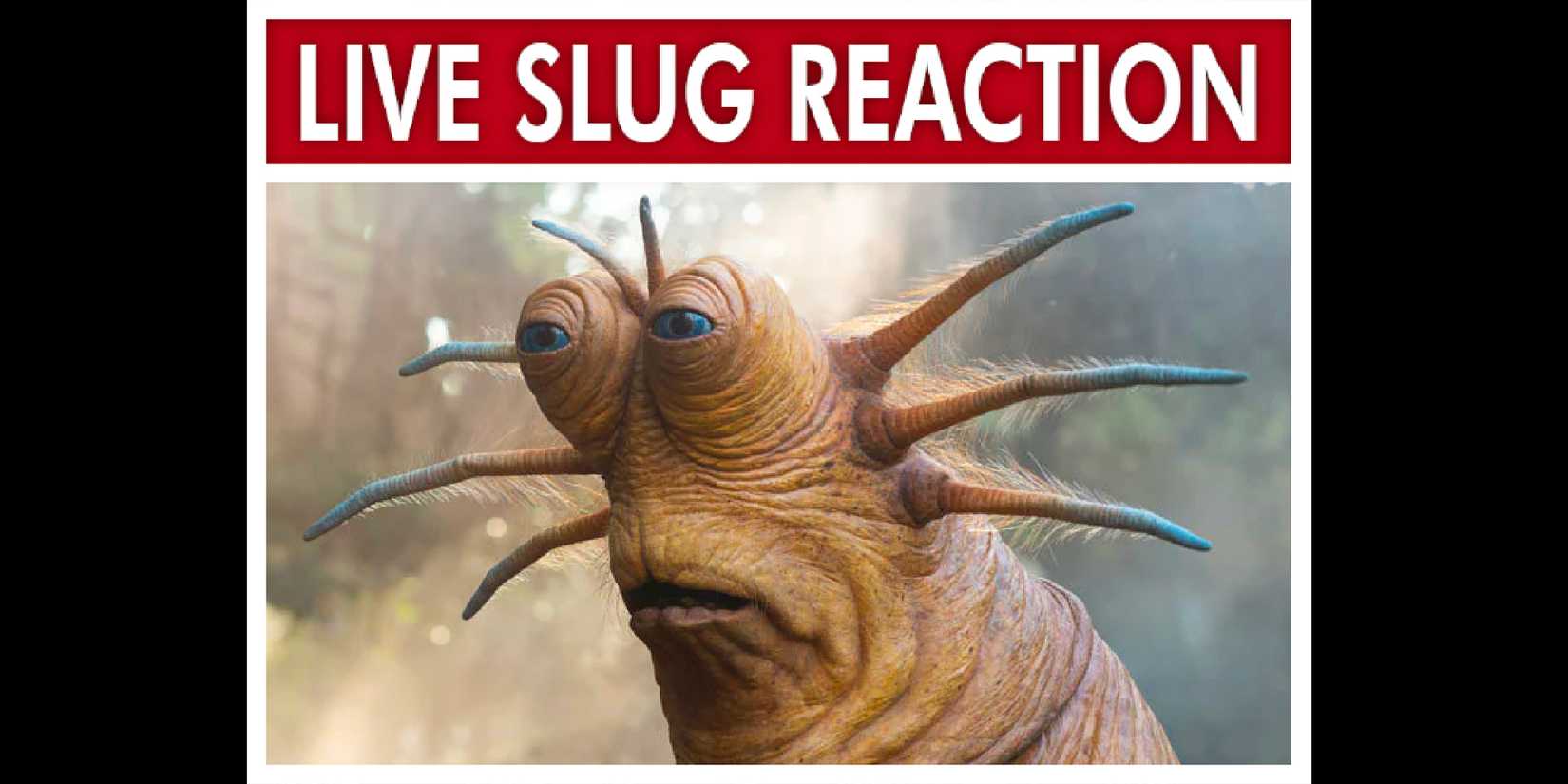Top 10 Star Wars Background Characters Fans Love