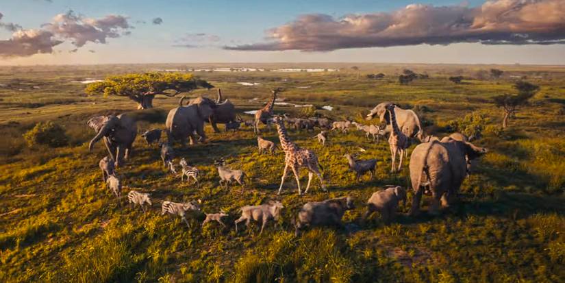 What Is Milele? The Origin Of Lion King's Pride Lands Explained
