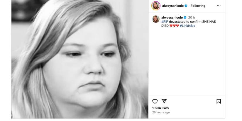 What Happened To 90 Day Fiancé's Azan After His Split With Nicole