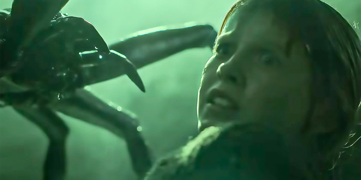 Sting Summary, Trailer, Cast, Where to Watch and More