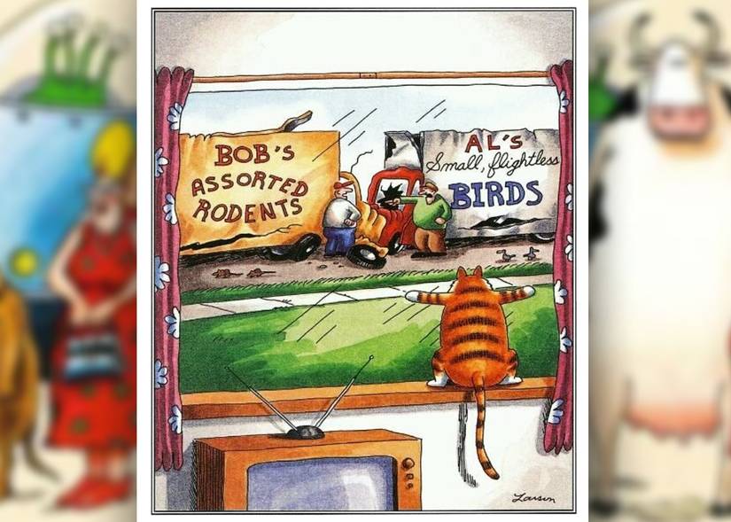 10 Funniest Far Side Comics That Just Turned 40 (In April 2024)