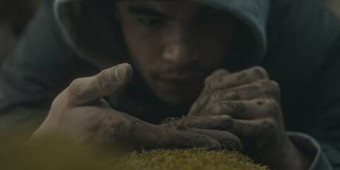 Infested Summary, Trailer, Cast, Where to Watch and More