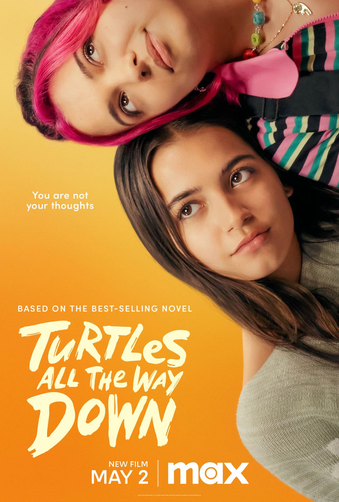 Turtles All The Way Down Cast & Character Guide