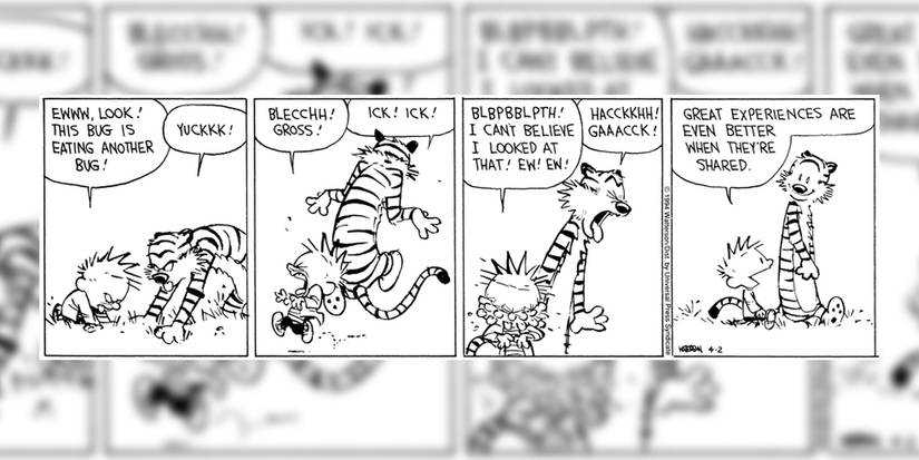 10 Funniest Calvin and Hobbes Comics That Just Turned 30 (In April 2024)