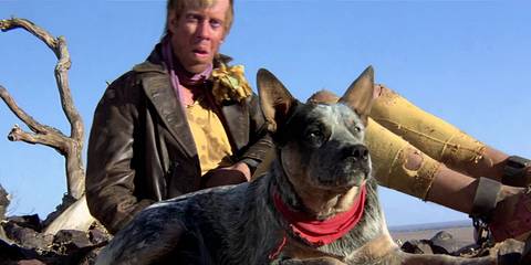 The Road Warrior Summary, Trailer, Cast, Where to Watch and More