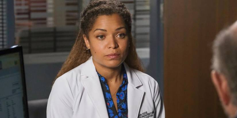 7 Reasons The Good Doctor's Series Finale Nailed The Landing