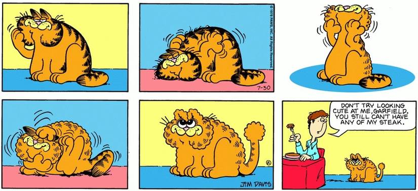 10 Funniest Garfield Comics Featuring His Original Design