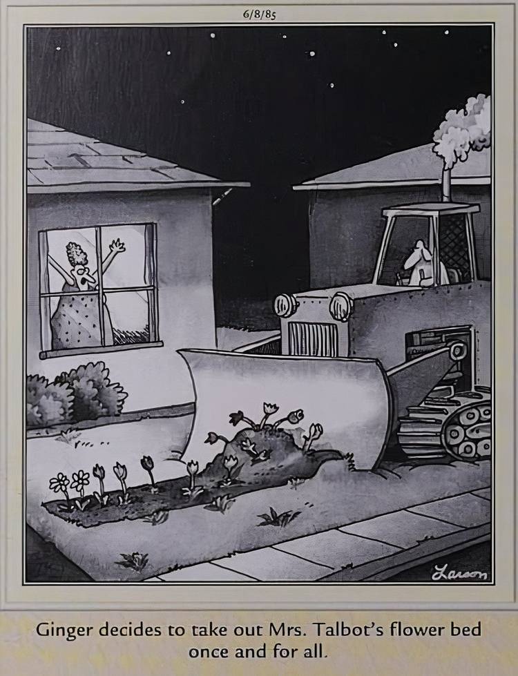 10 Hilarious Far Side Comics About Flowers & Other Plants