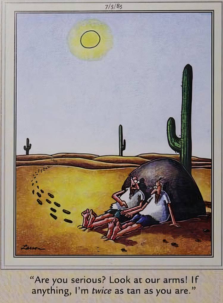 10 Far Side Comics That Prove Heatwaves Are The Absolute Worst