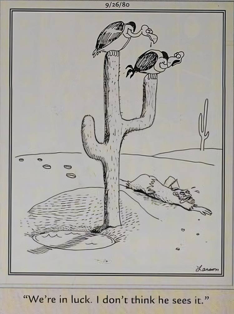 10 Brilliant Far Side Comics Starring Buzzards, Vultures, & Other Birds ...