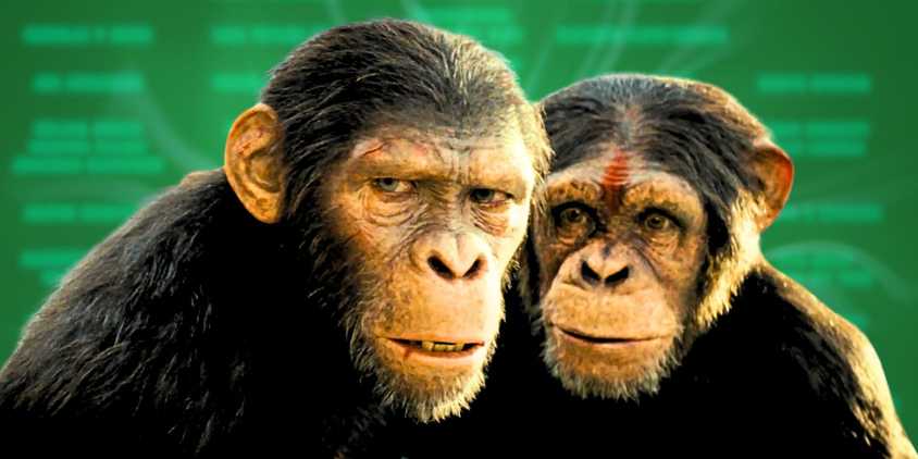 Kingdom Of The Planet Of The Apes Sequel: Cast, Story & Everything We Know