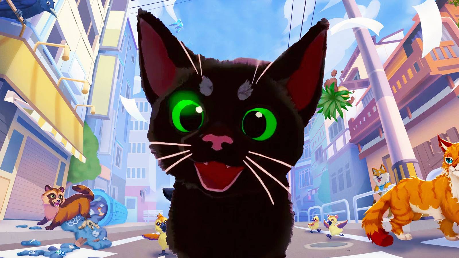 Little Kitty, Big City: How To Find (& Help) The Tanuki