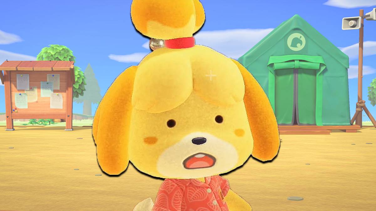 Animal Crossing Player Gets The Shock Of A Lifetime When One Of Their ...