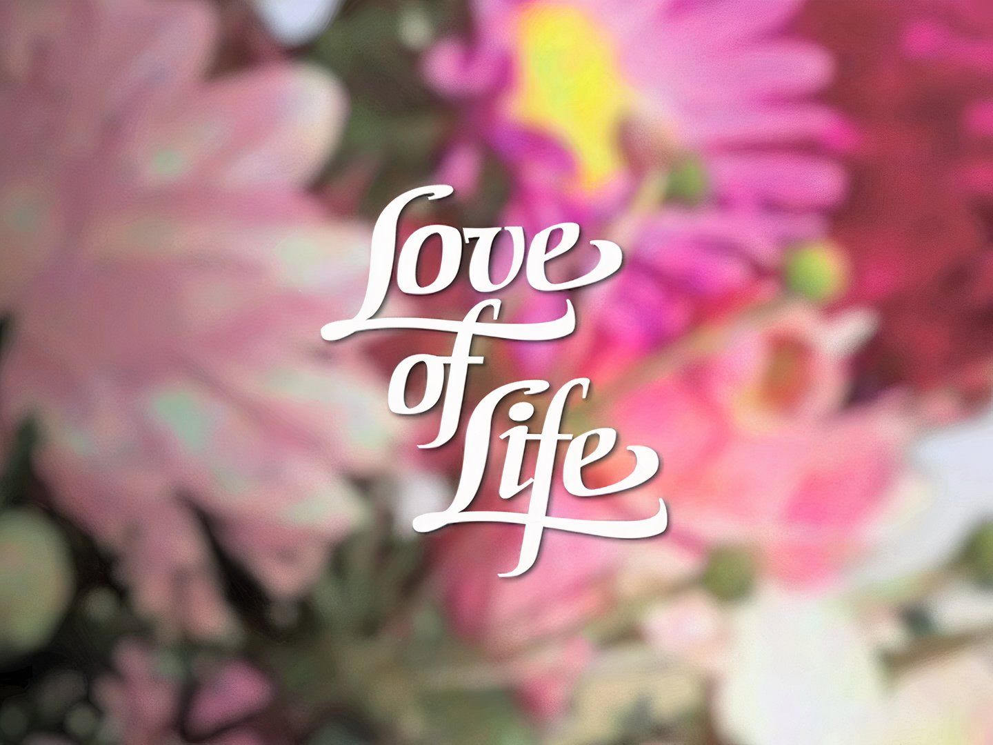 Love Of Life Summary, Trailer, Season List, Cast, Where to Watch and More