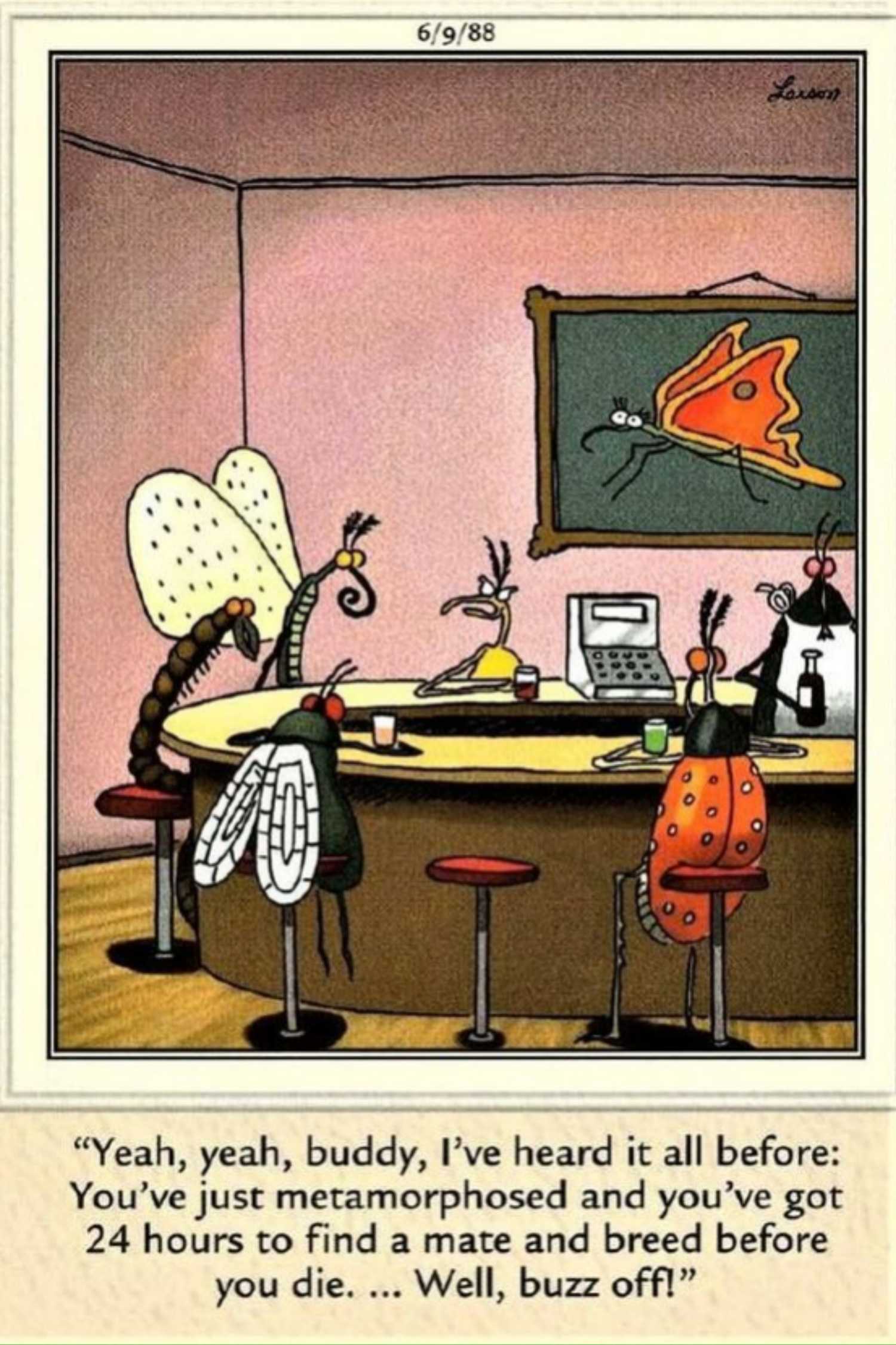 10 Funniest Far Side Comics That Prove It's Obsessed with Bugs