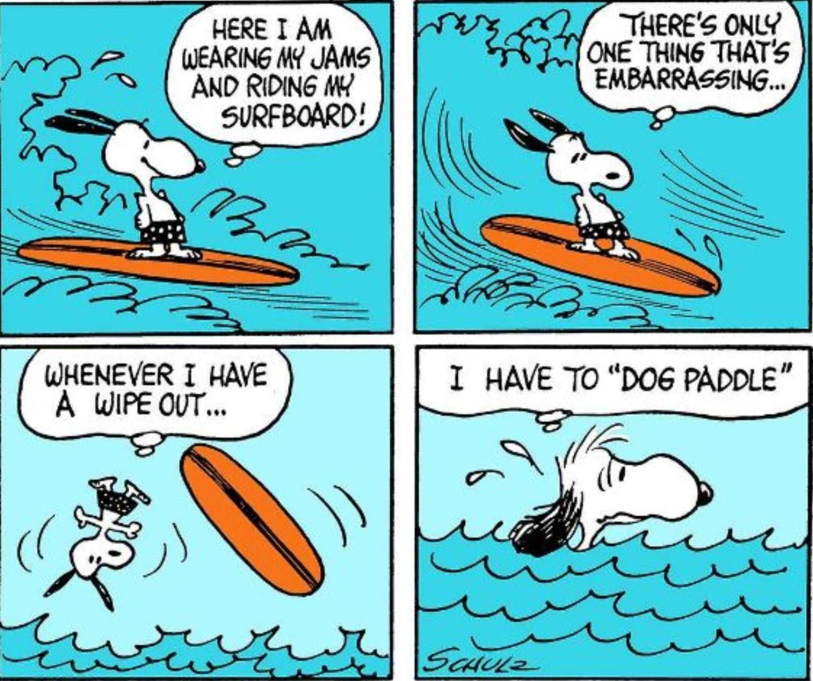 10 Funniest Peanuts Comics Set at the Beach