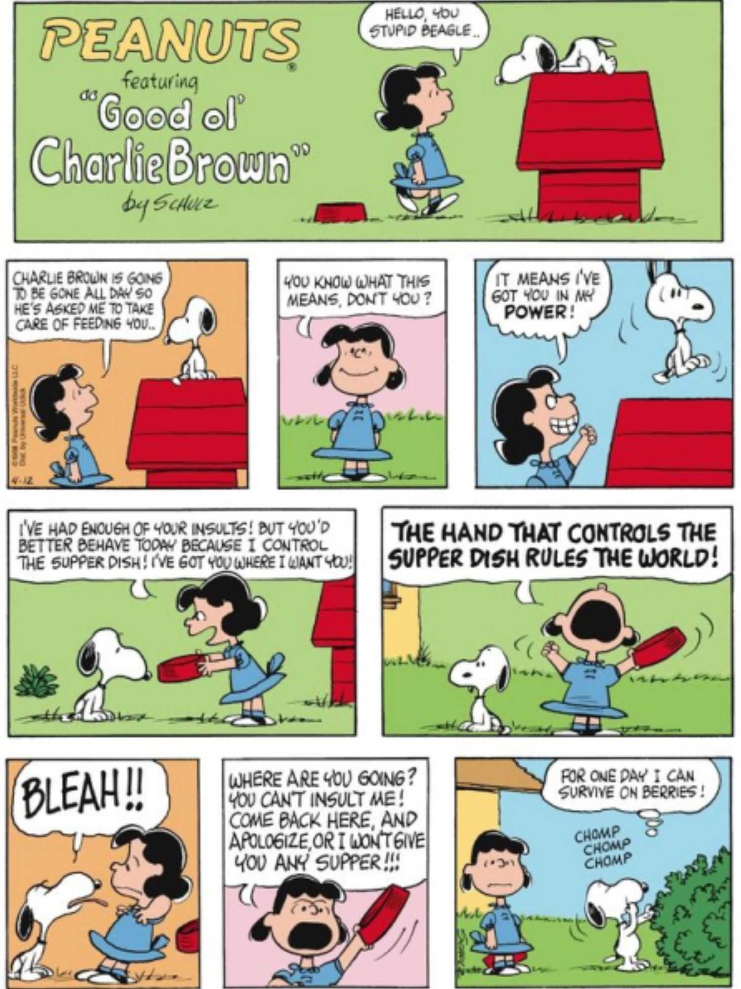 10 Funniest Peanuts Comics Where Snoopy Fights Lucy