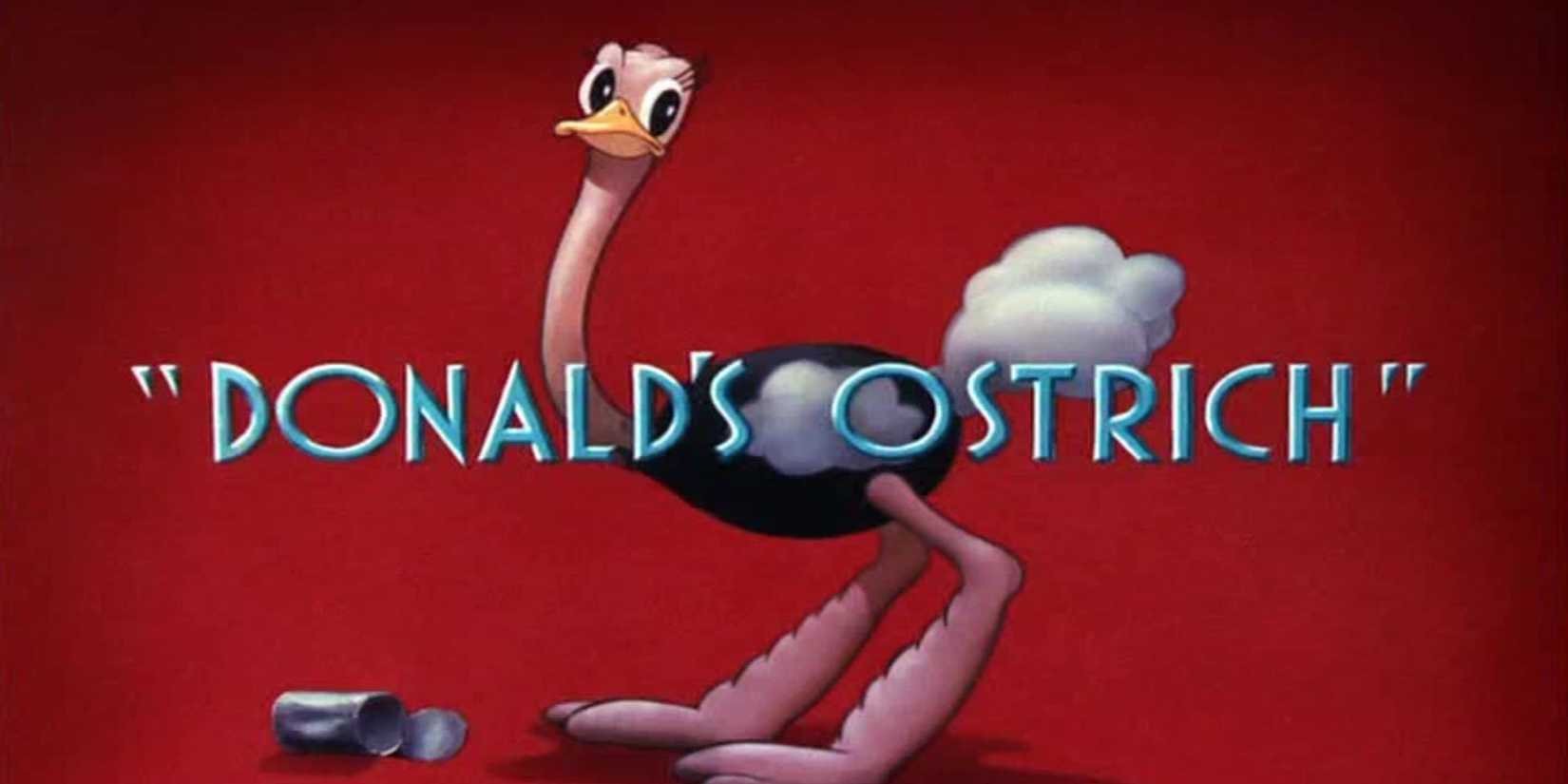 10 Essential Donald Duck Cartoons That Every Disney Fan Needs To Watch ...