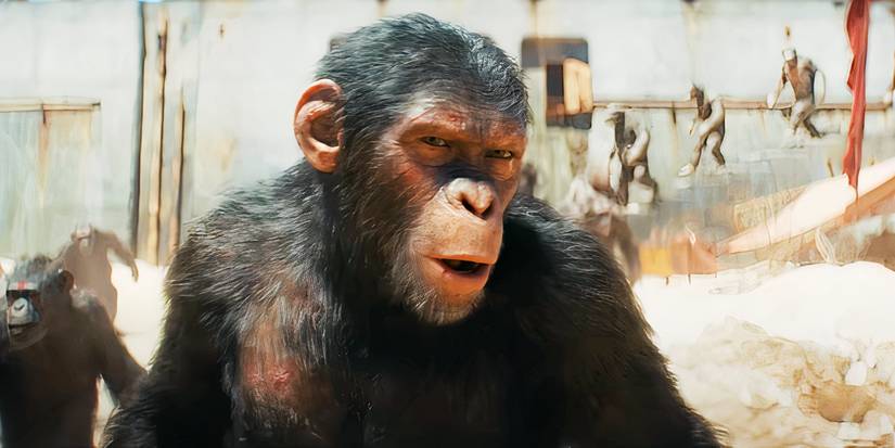 Kingdom Of The Planet Of The Apes Box Office Explained: Was It A ...