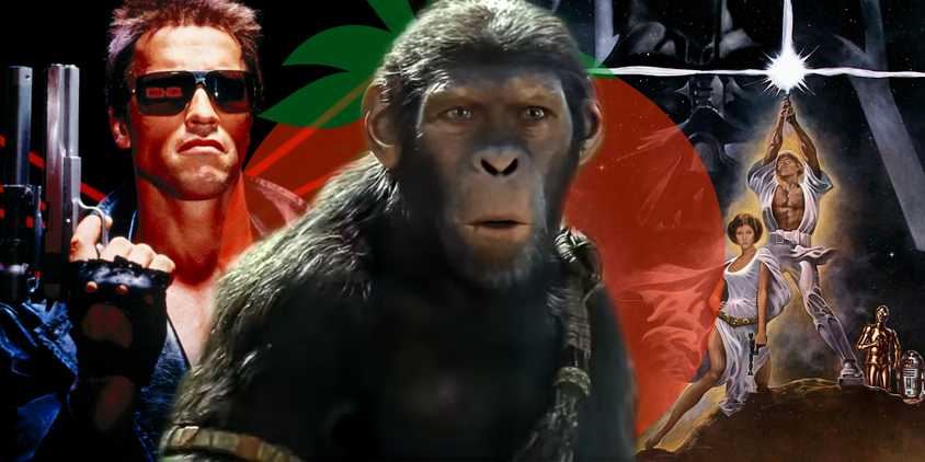How Mae Can Speak In Kingdom Of The Planet Of The Apes