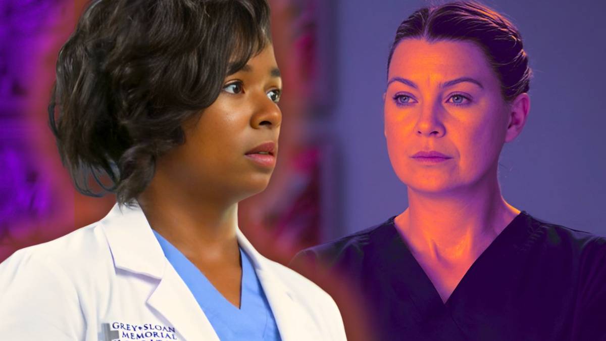 Grey’s Anatomy Season 20 Has Dropped A Crucial Plotline That Needs To ...