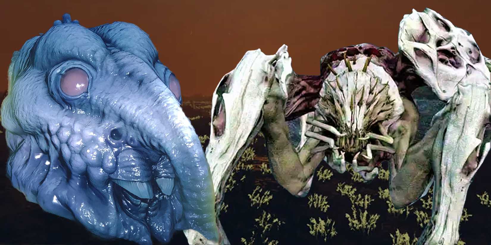 Starfield Player Discovers Strange Squidward Alien & Rare Planet At ...