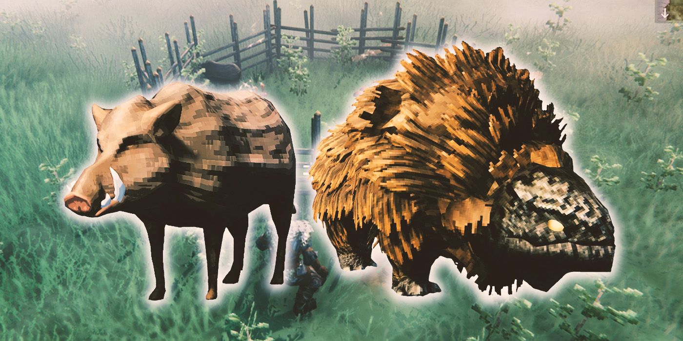 Valheim: How To Tame (& Mount) Asksvin