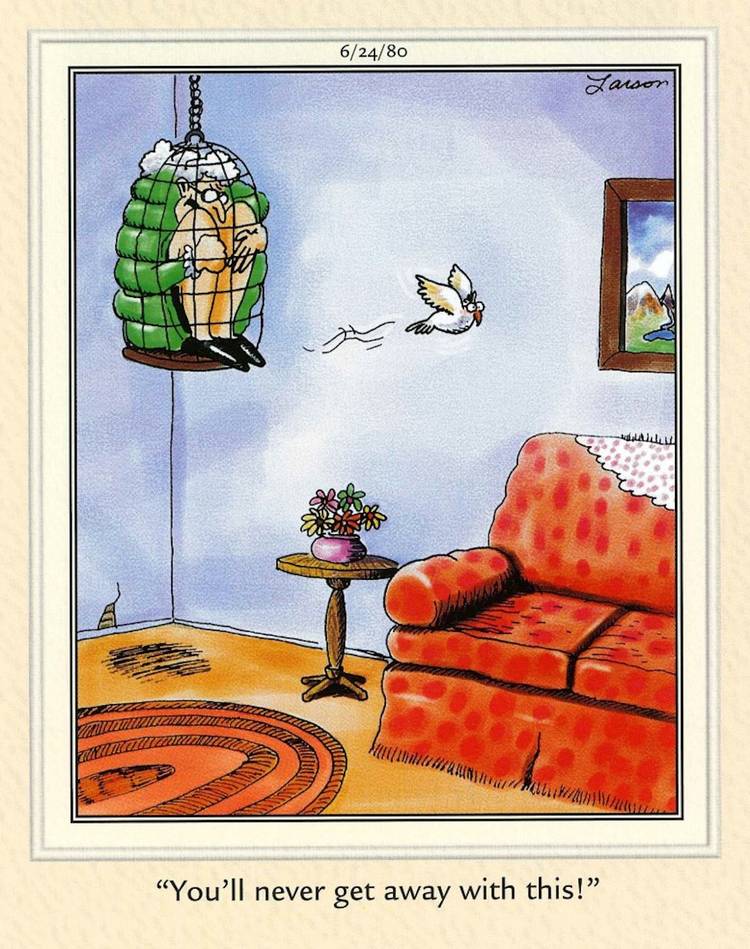 10 Far Side Comics That Prove Gary Larson Preferred Animals Over Humans