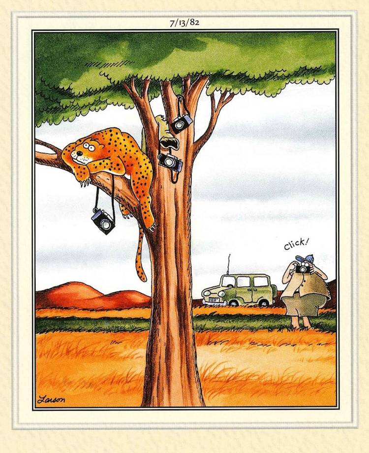 10 Far Side Comics That Prove Gary Larson Preferred Animals Over Humans