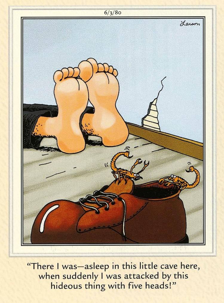 10 Far Side Comics That Prove Gary Larson Preferred Animals Over Humans