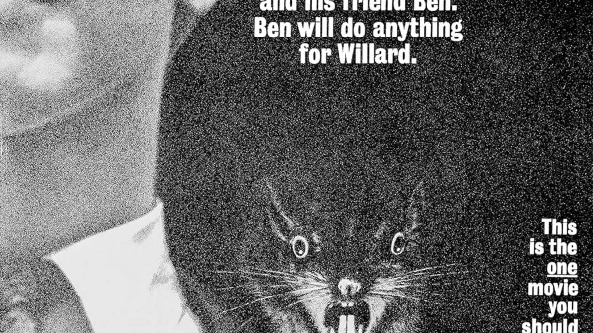 Willard Summary, Trailer, Cast, Where to Watch and More